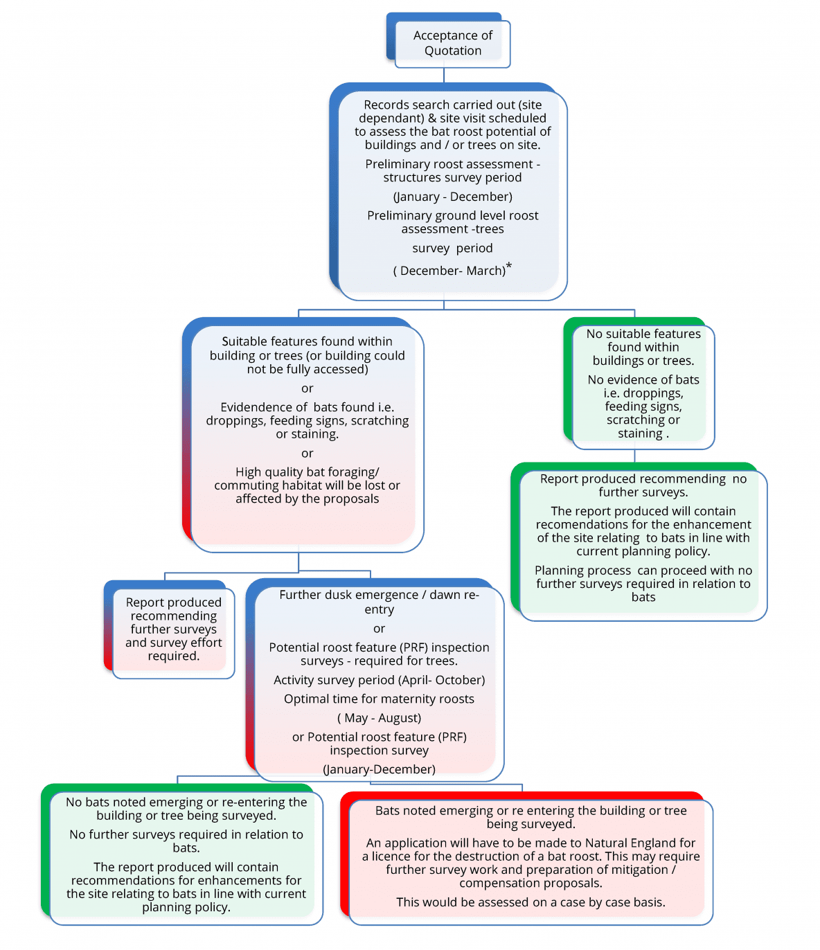 Typical Work Flow Relating to Bat Surveys | Ascerta