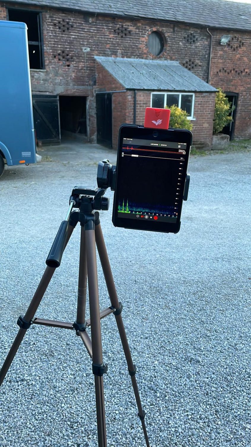 Project Success Example: Bat Surveys | Ascerta